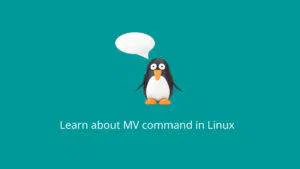 Learn about MV command in Linux - TEKSpace Blog